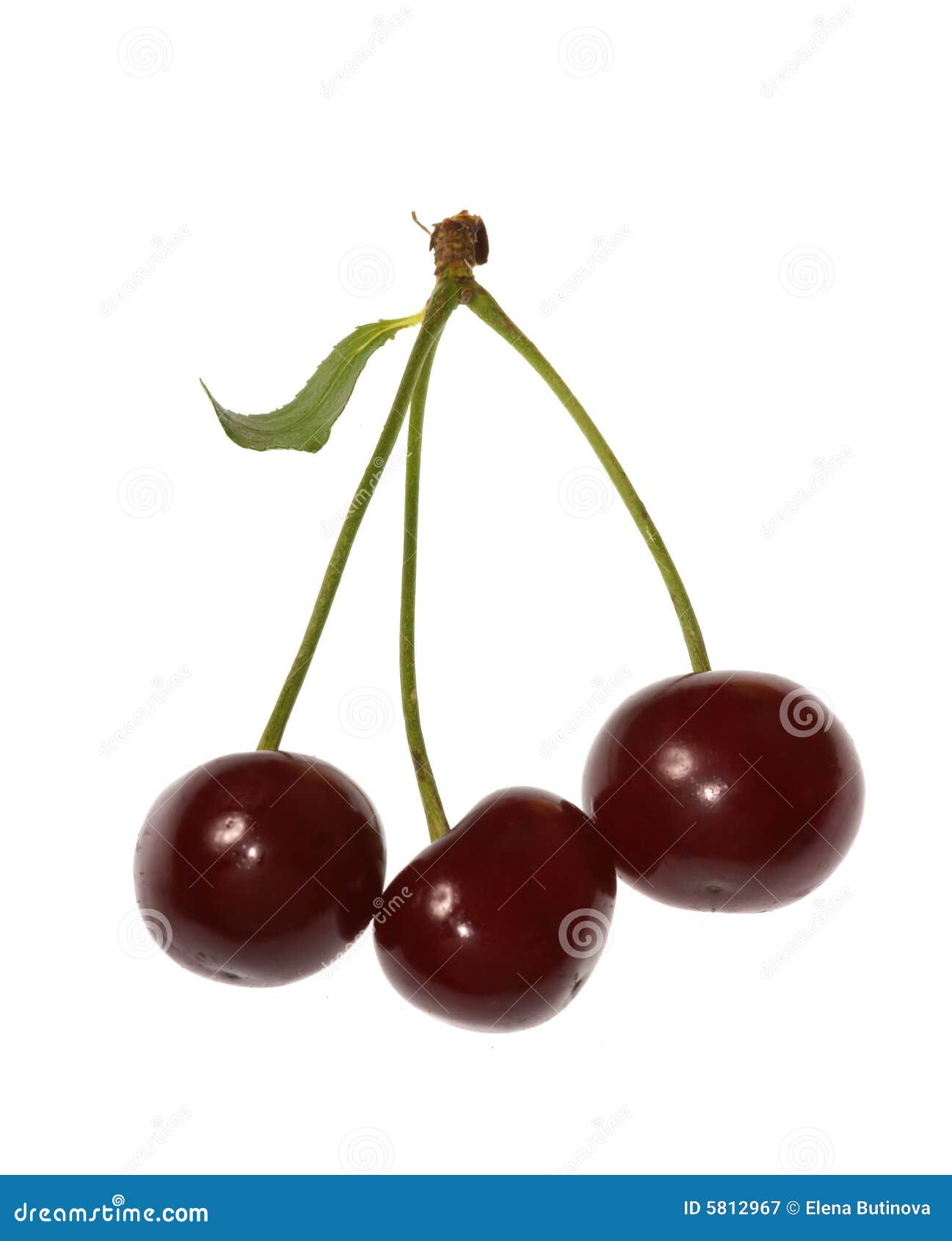 Cherry stock image. Image of green, ripe, food, twin, stem - 5812967
