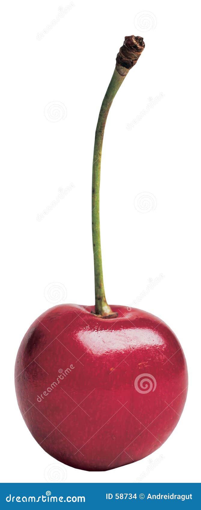 Cherry stock photo. Image of vegetable, single, cherry, isolated - 58734
