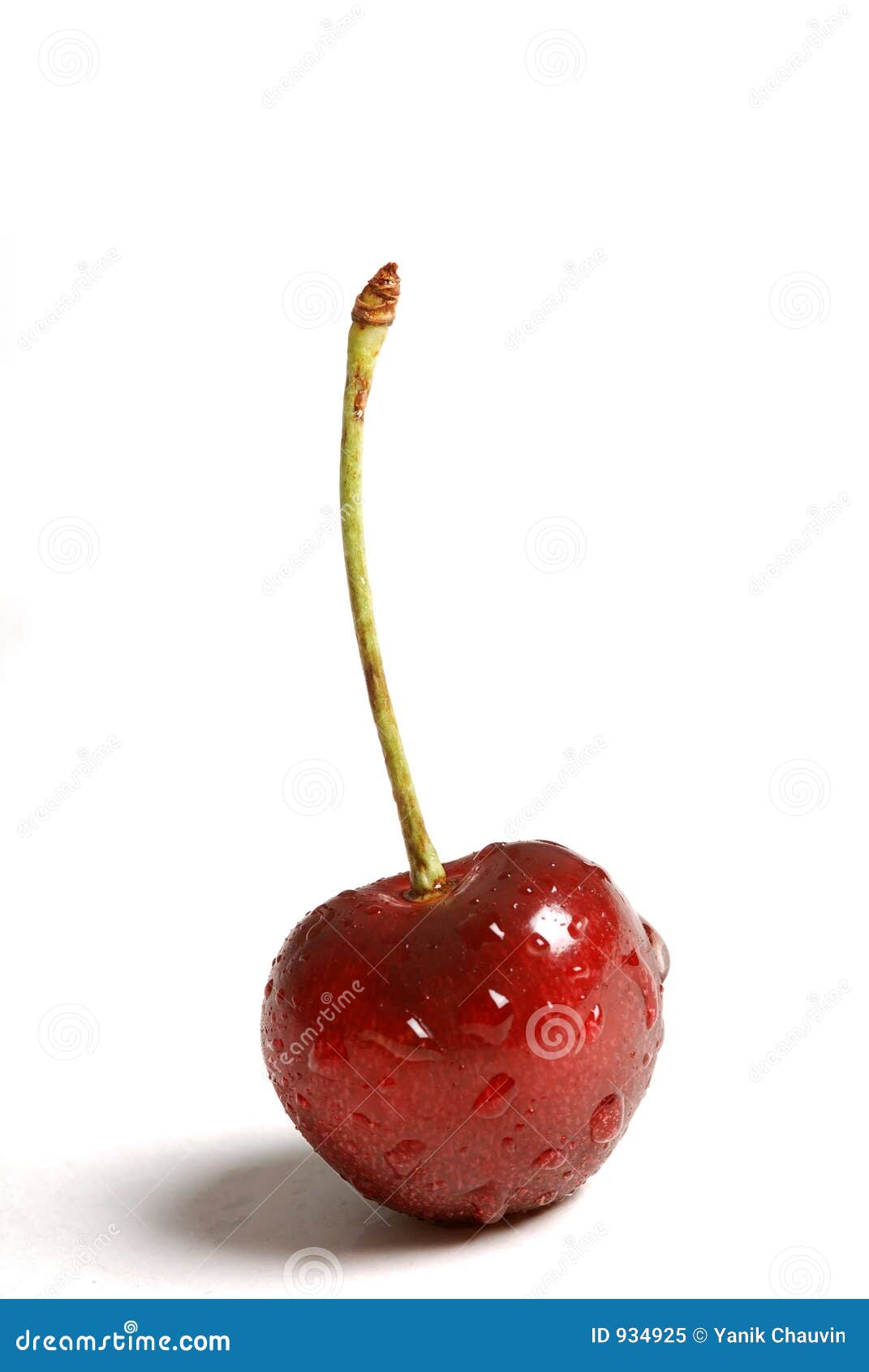 Cherry stock image. Image of white, isolated, nutrition - 934925