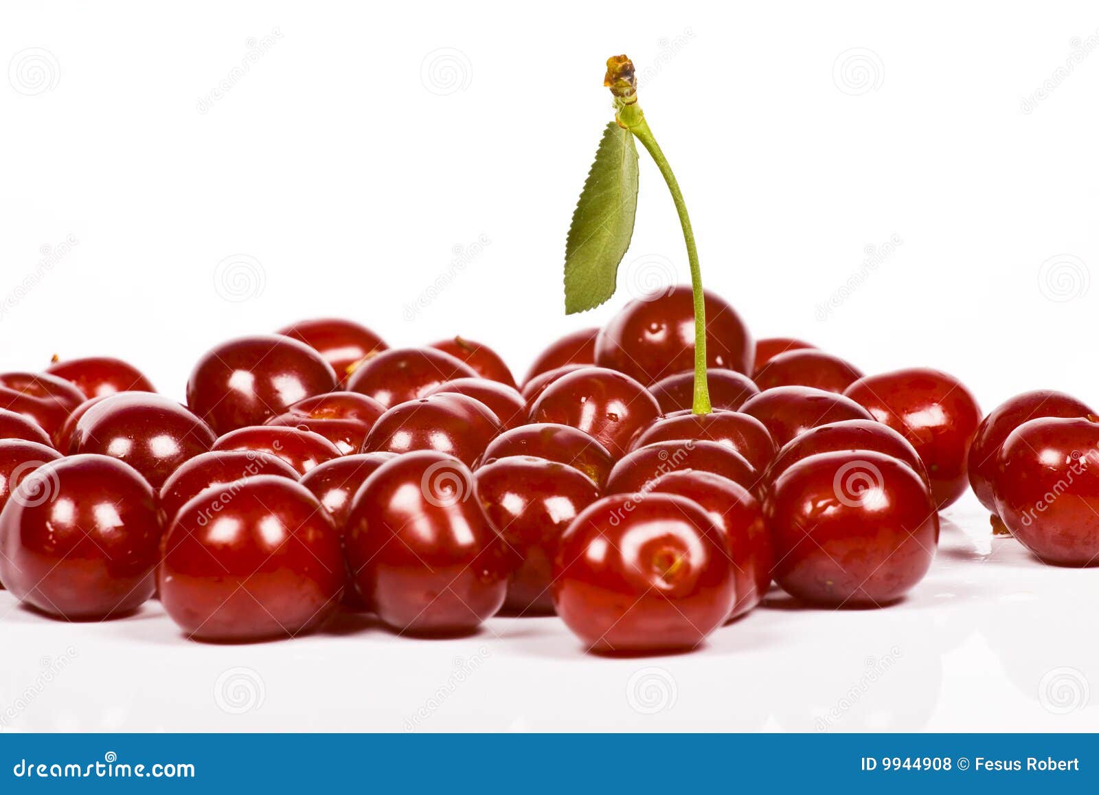 Cherry stock photo. Image of healthy, refreshment, nature - 9944908