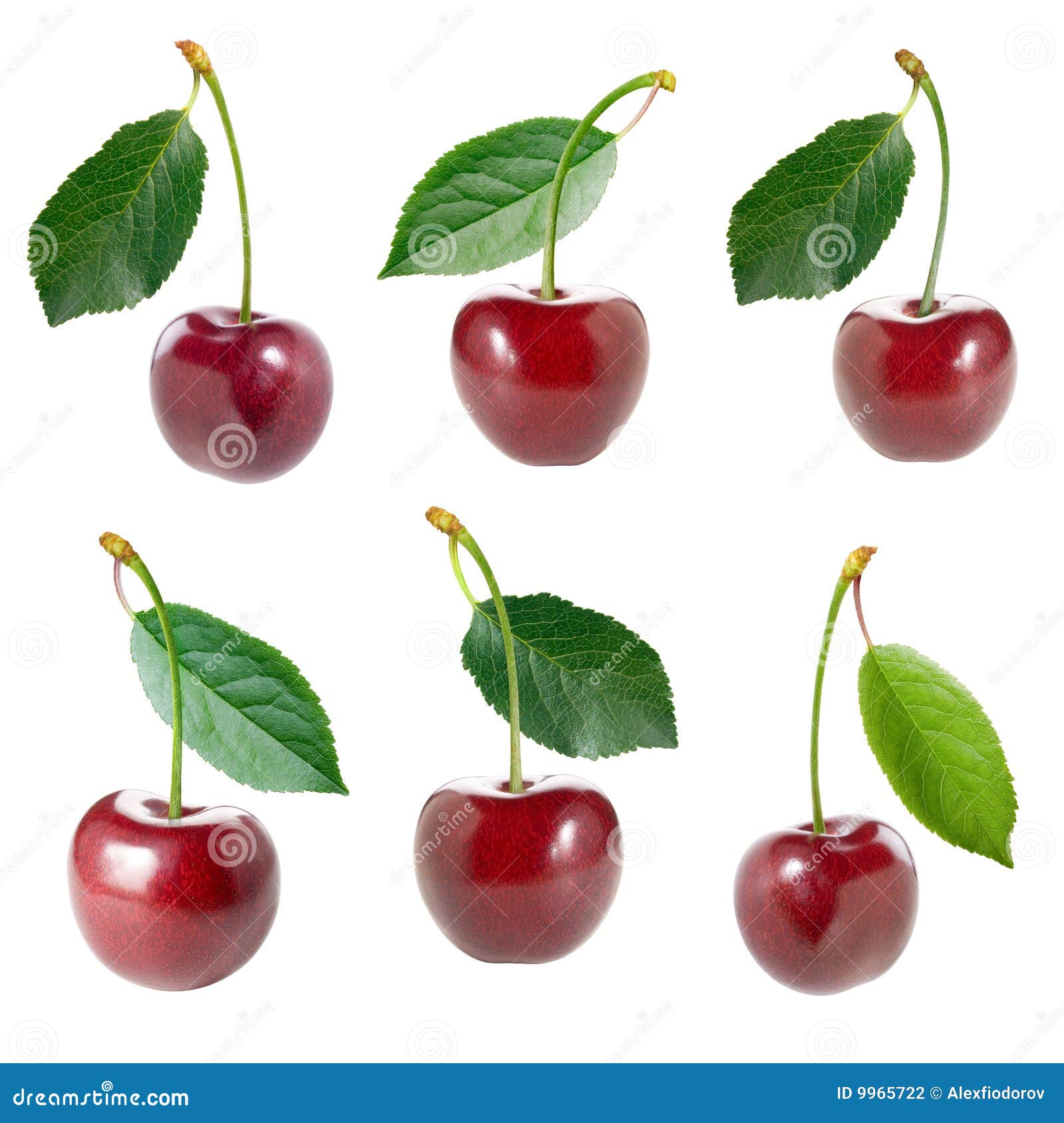 Cherry. stock photo. Image of reflection, dessert, juicy - 9965722