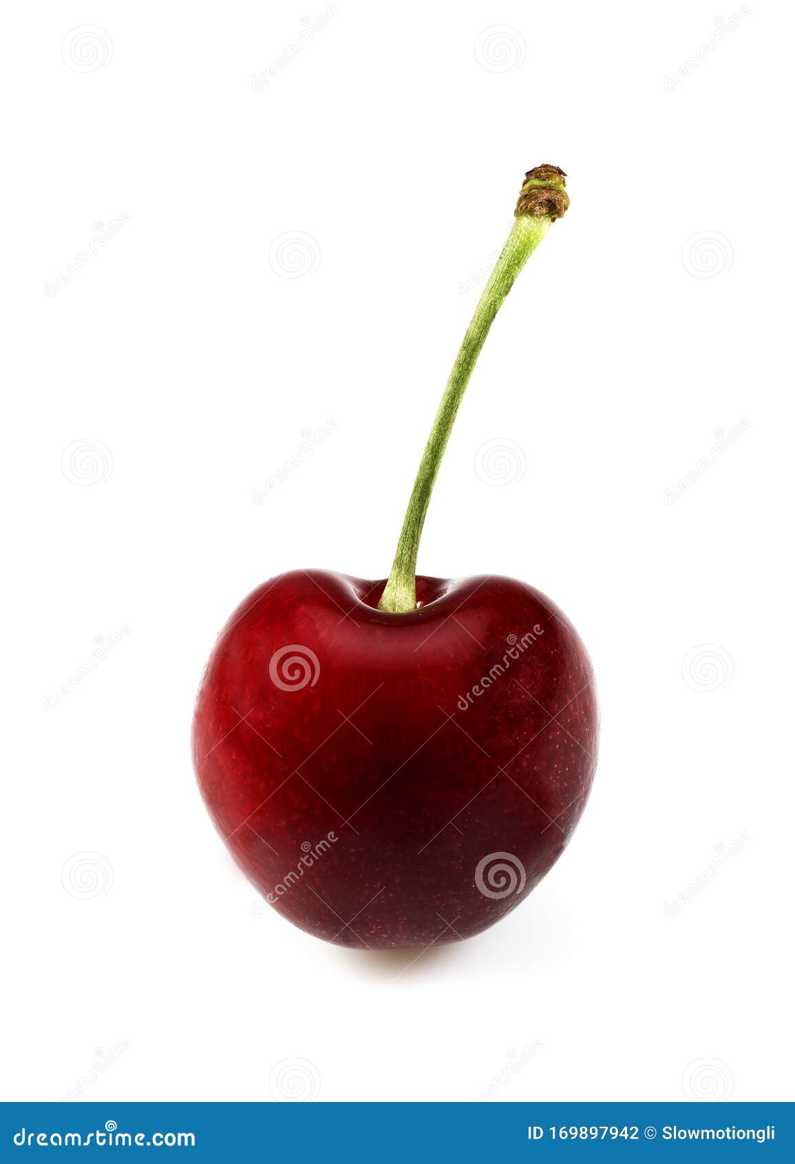 CERISE stock photo. Image of background, berry, inside - 169897942