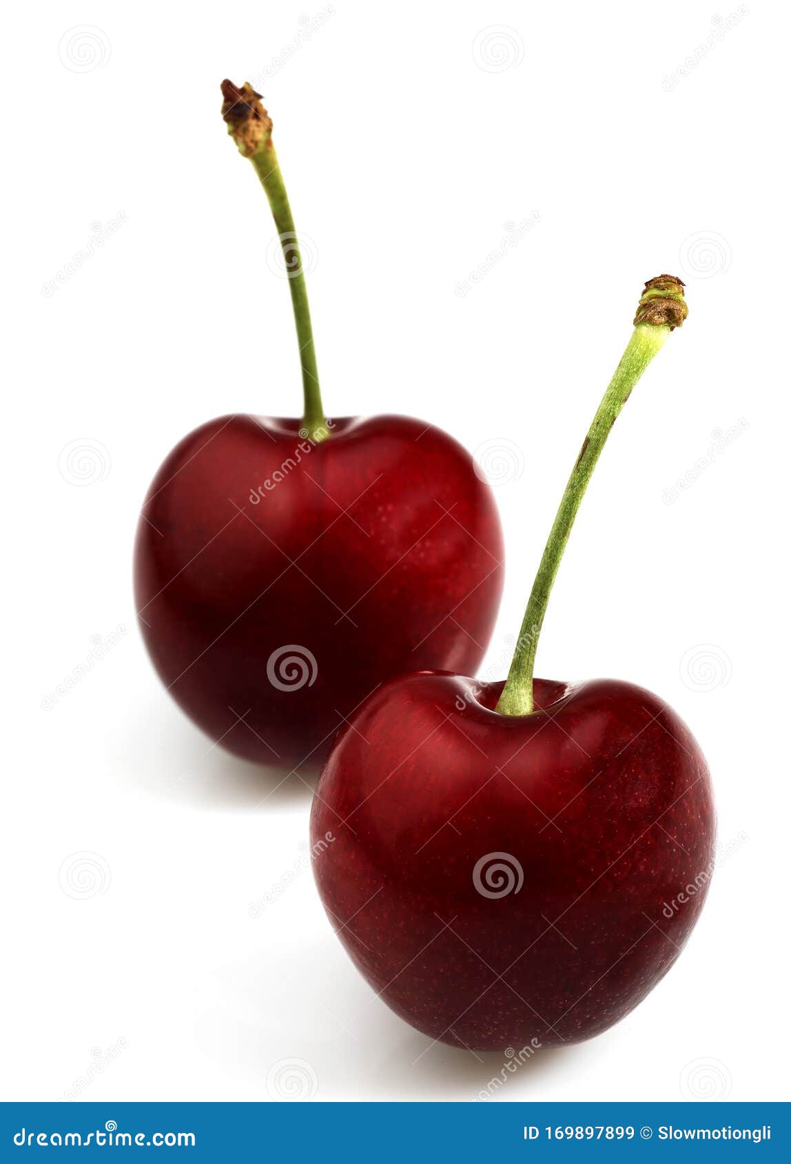 CERISE stock image. Image of botany, food, still, background - 169897899