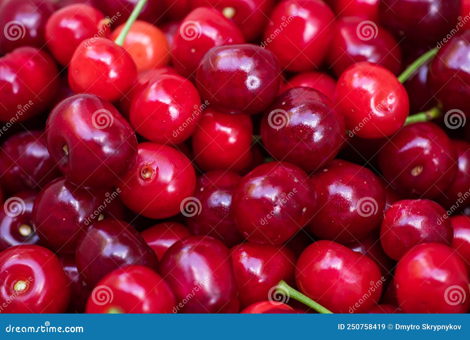 Cherry Background. Cherry Top View. Sour Cherry Flat Design Stock Image ...