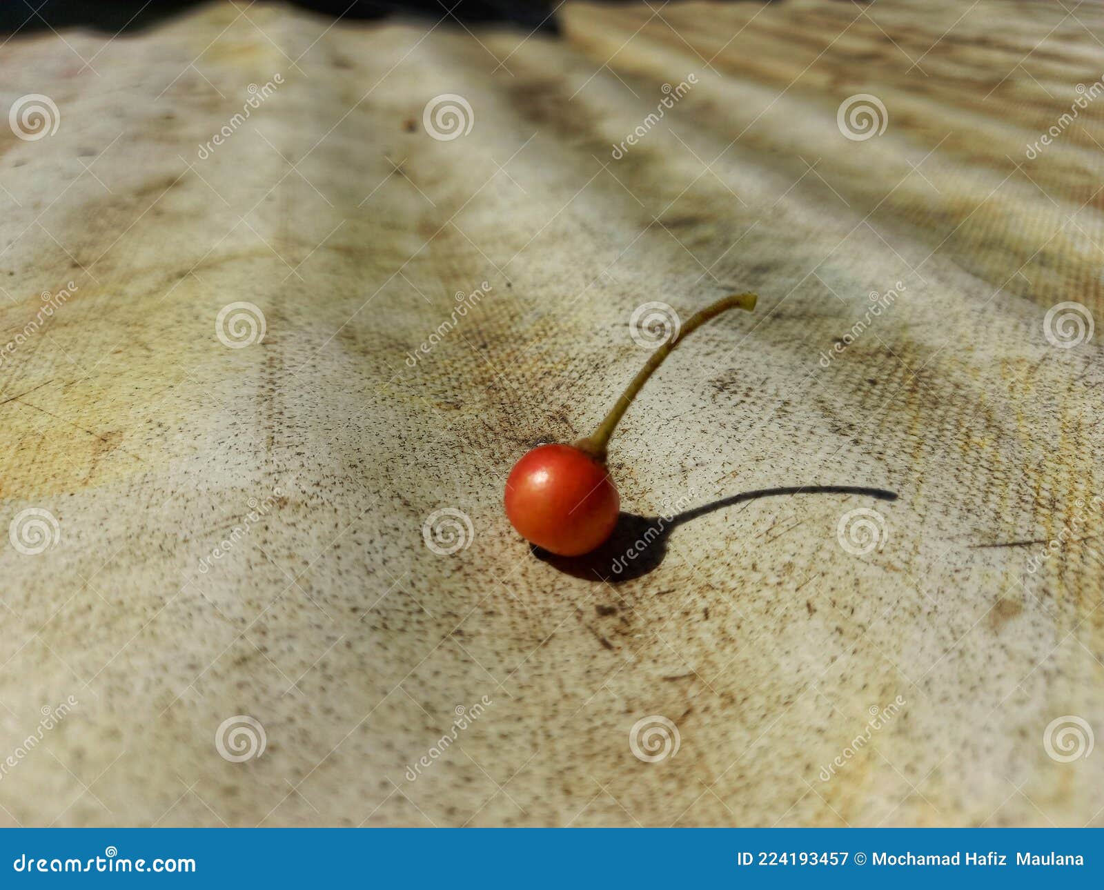 Baleci Stock Photos - Free & Royalty-Free Stock Photos from Dreamstime