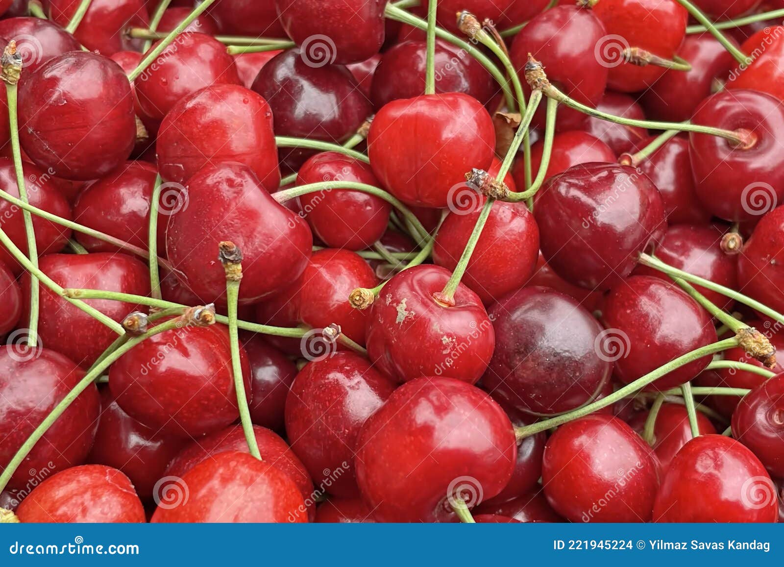 Cherry Berries, the Most Popular Fruit Stock Photo - Image of ...