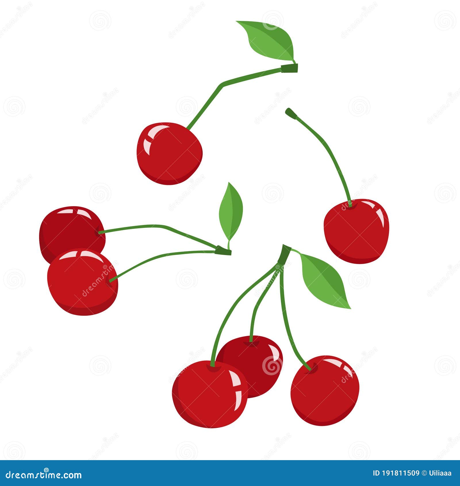 Cherry Berry with Leaves Isolated on a White Background Stock Vector ...