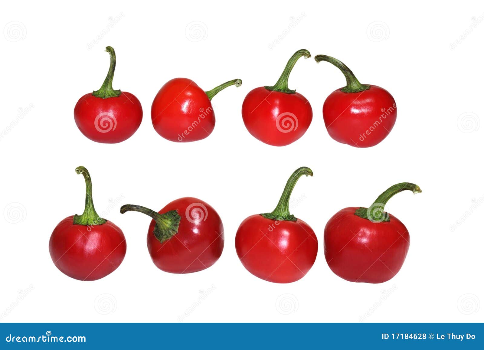 Cherry Big Bomb Pepper stock photo. Image of healthy - 17184628