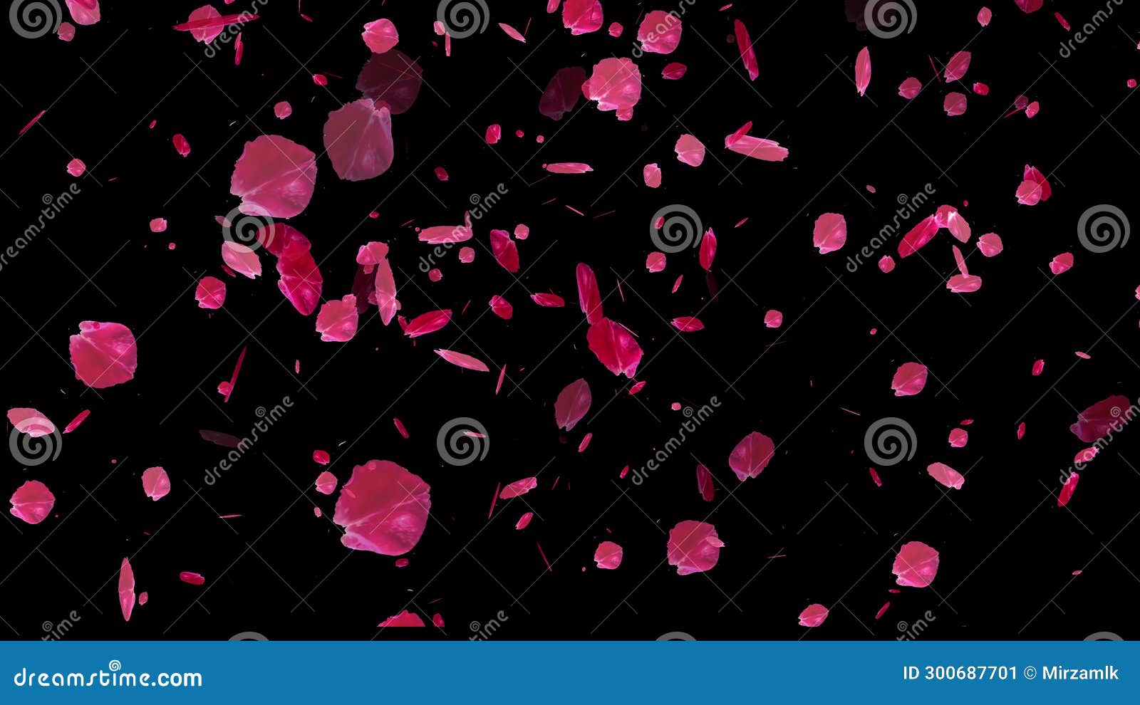 Cherry Blossom Falling with Black Background Stock Illustration ...