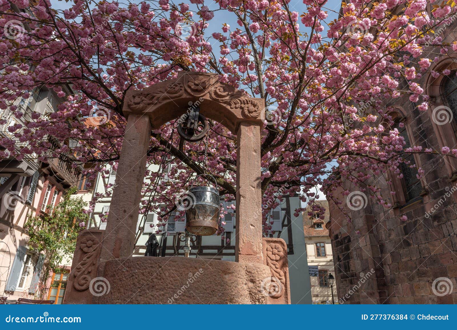 Cherry Blossom in an Old Square with a Medieval Well in Spring Stock ...
