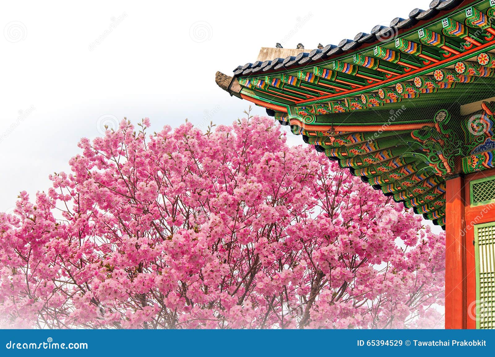 1,126 Sakura Roof Temple Stock Photos - Free & Royalty-Free Stock ...