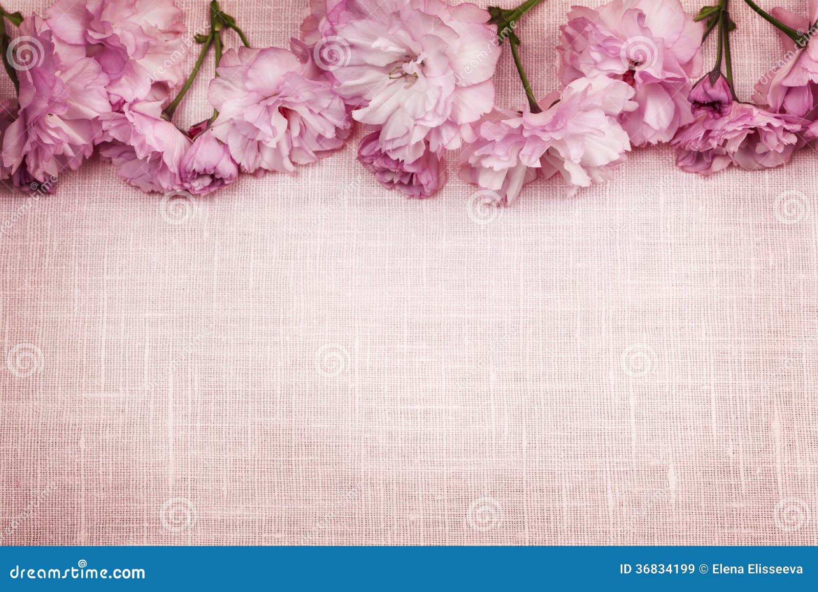Cherry Blossoms Border on Pink Linen Stock Image - Image of linen ...