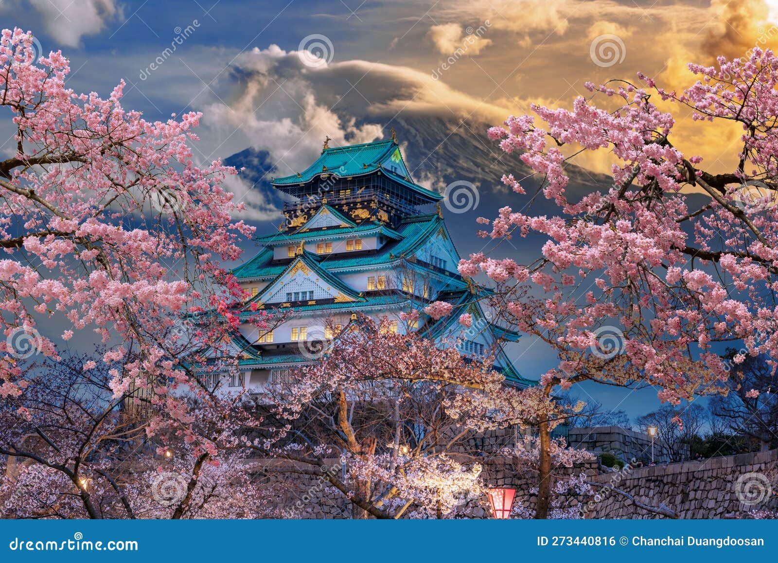 The Cherry Blossoms are in Full Bloom with Osaka Castle and Mount Fuji ...