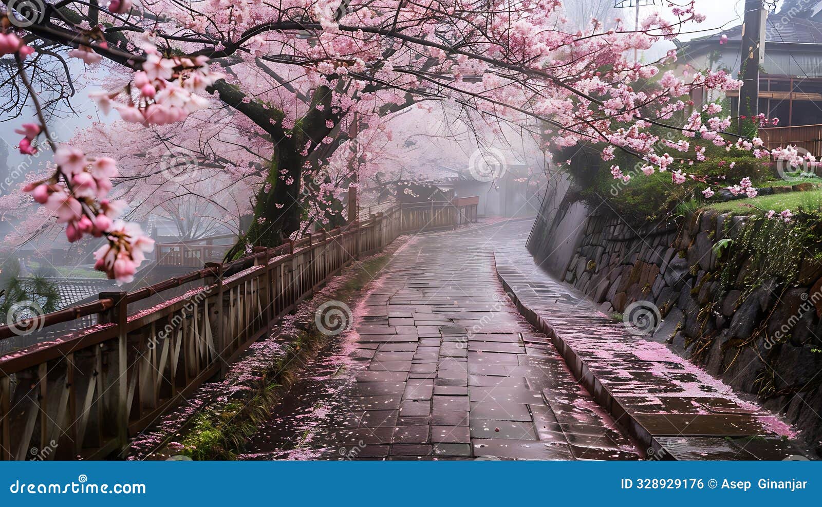 Cherry Blossoms on a Japanese Pathway Stock Illustration - Illustration ...