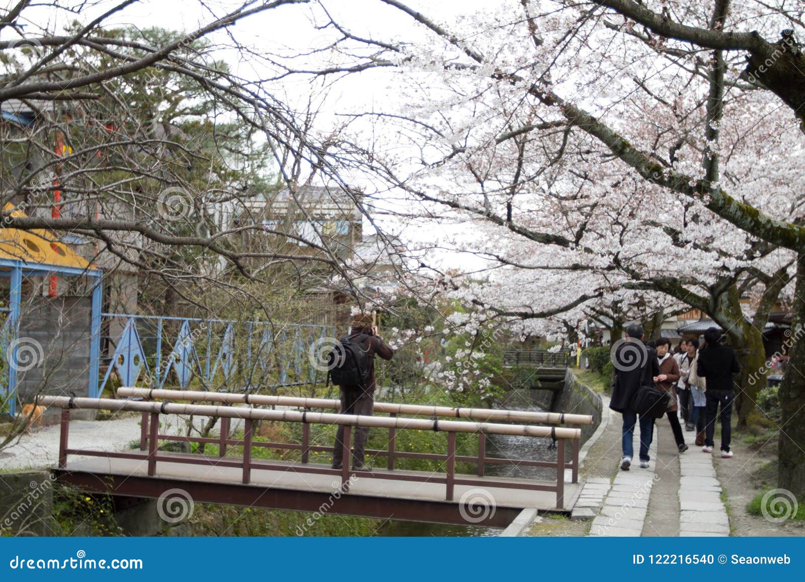 The Cherry Blossoms on Philosopher Path Kyoto Editorial Image - Image ...