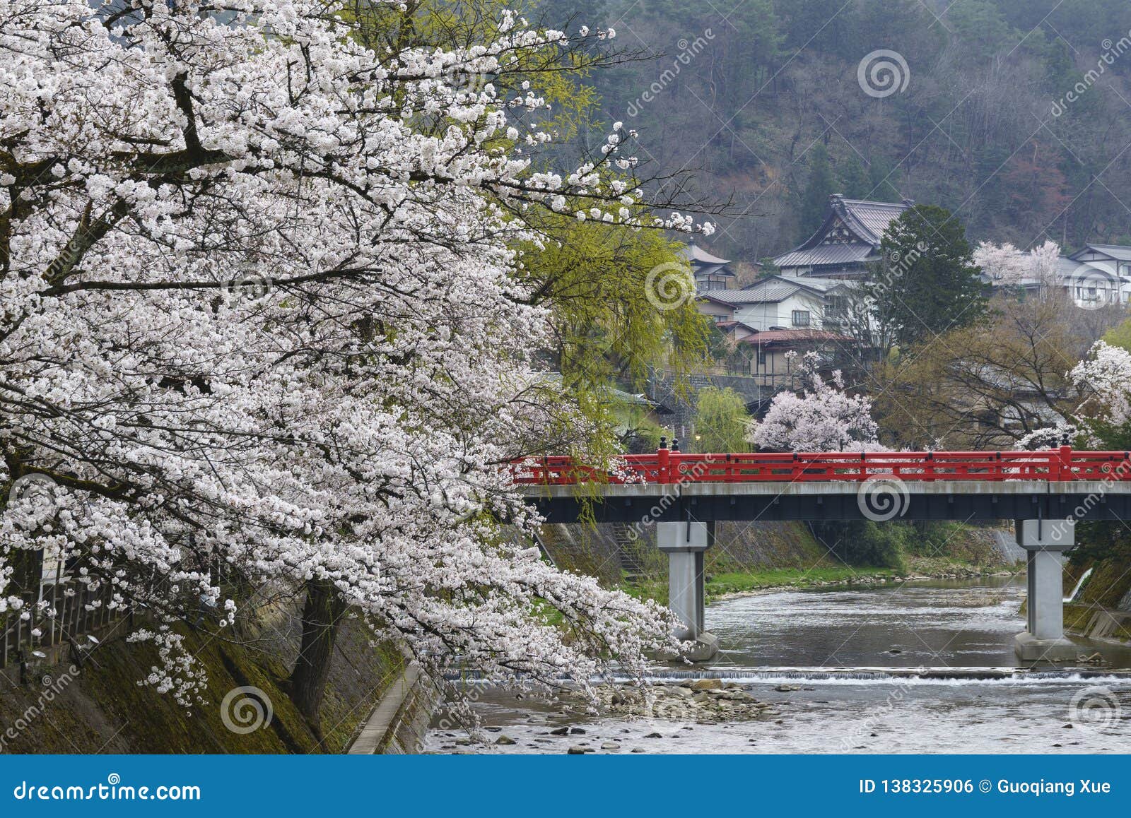 Takayama in spring stock photo. Image of flowers, miyagawa - 138325906