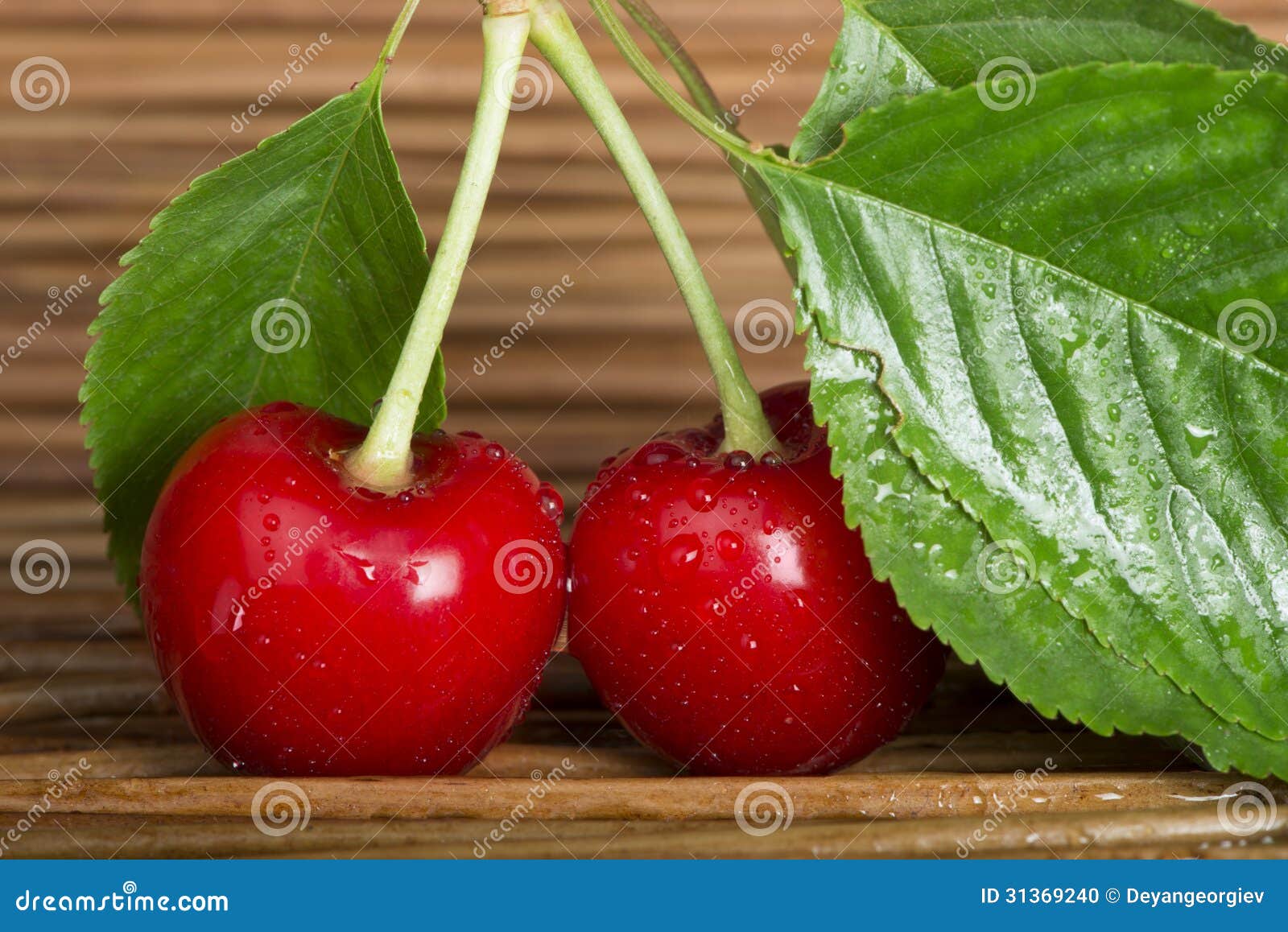 Cherry branch with leaves stock photo. Image of fresh - 31369240