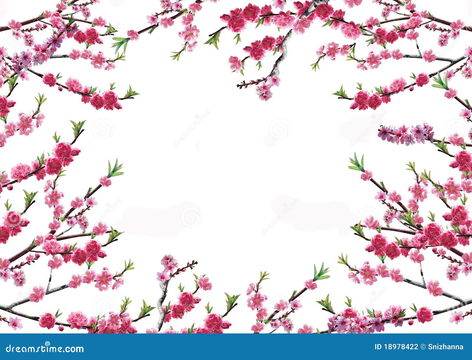 188 Scroll Flowers Black White Stock Photos - Free & Royalty-Free Stock ...