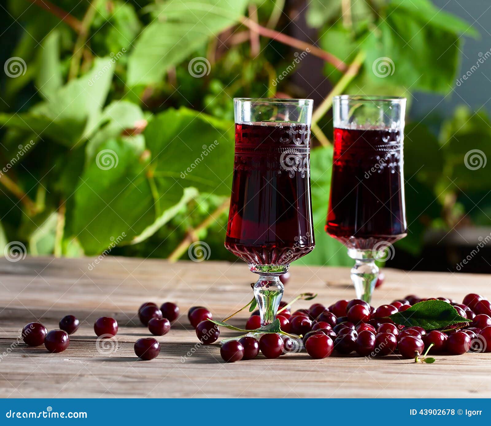 Cherry brandy stock photo. Image of brandy, healthy, berry - 43902678