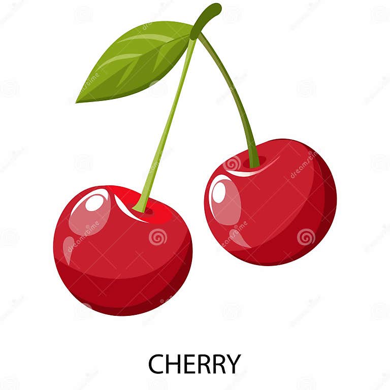 Cherry in Cartoon Style on a White Background. Stock Illustration ...