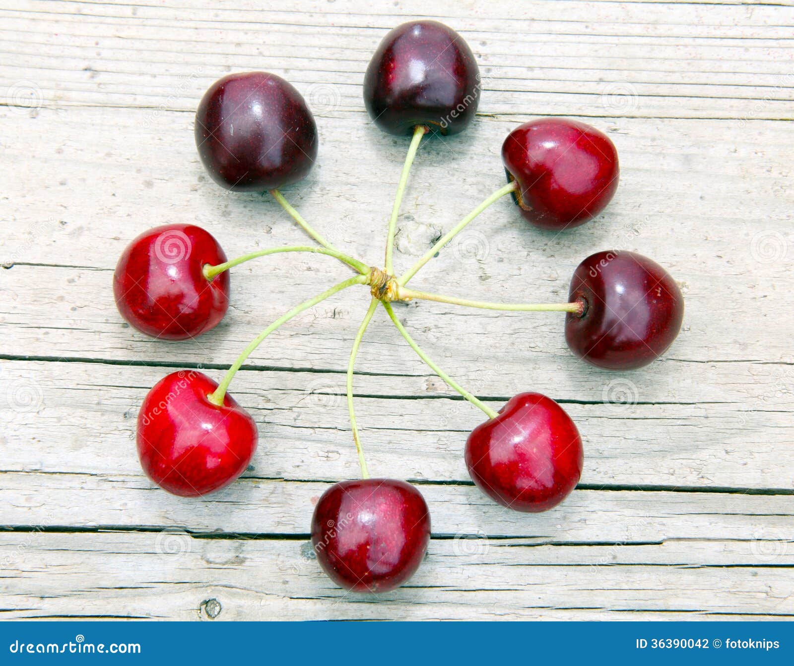 Cherry circle stock photo. Image of board, arranged, stalk - 36390042
