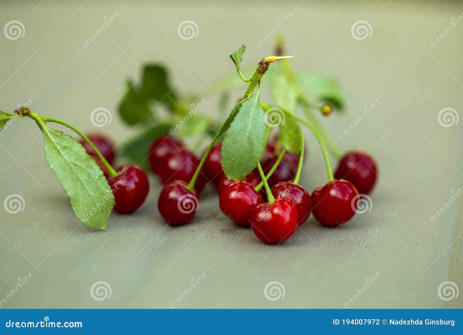Cherry Cluster with Leaves Close-up Stock Photo - Image of fruit, close ...