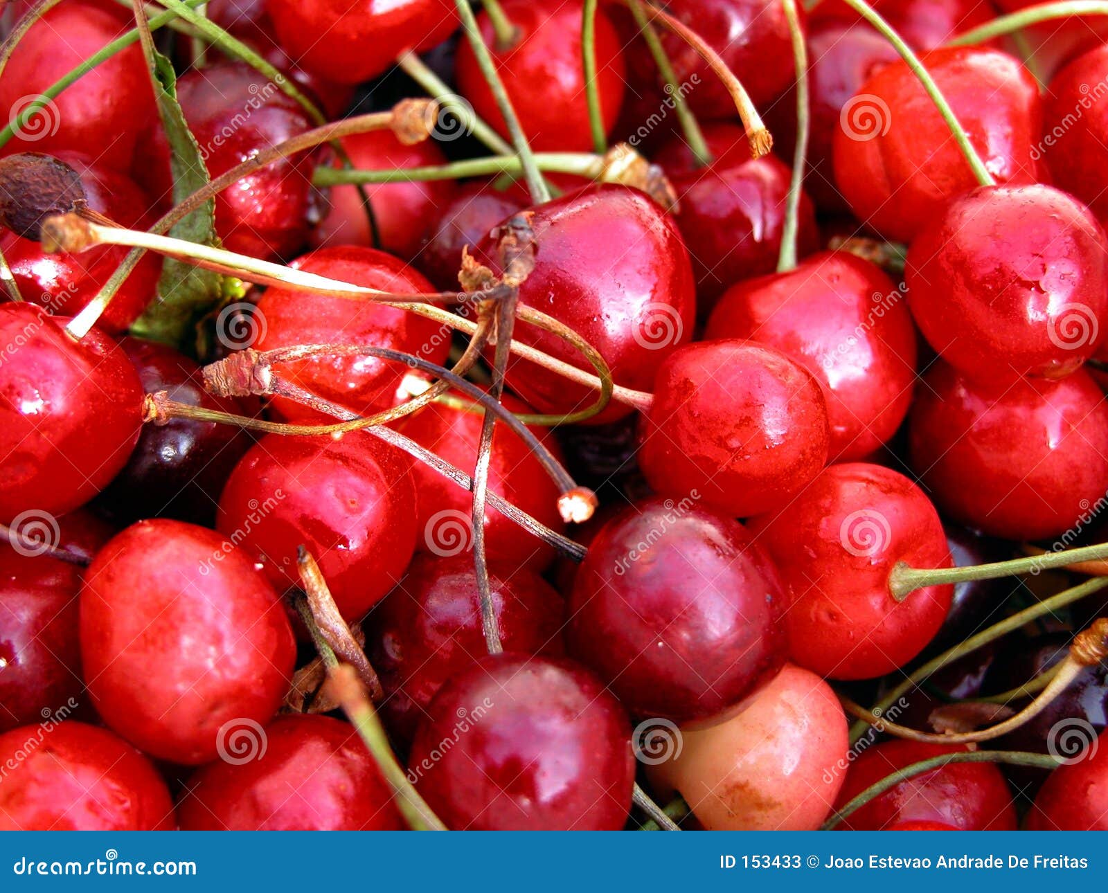 Cherry-colored stock image. Image of growing, summer, berry - 153433