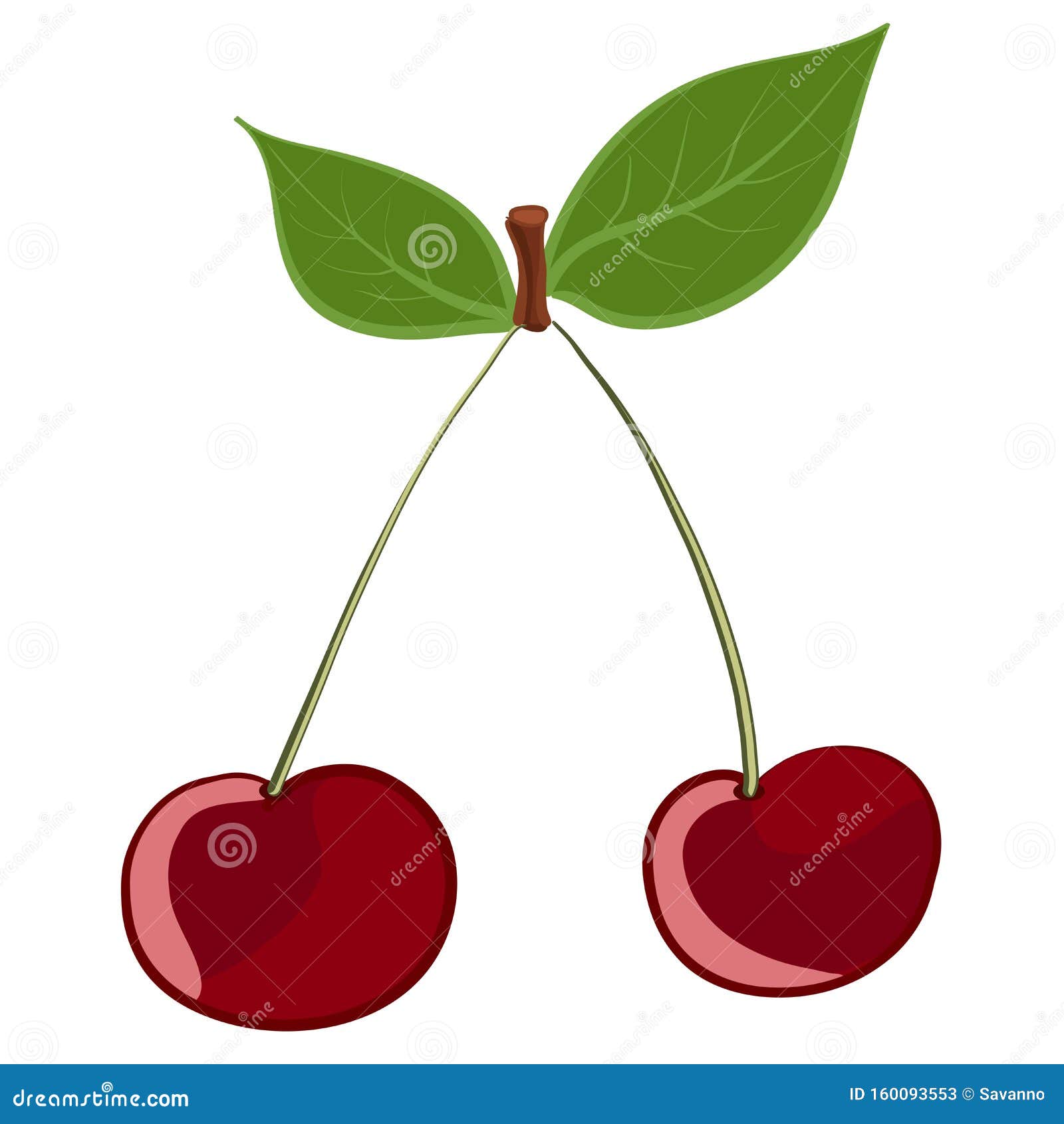 Cherry. Colored drawing stock vector. Illustration of natural - 160093553