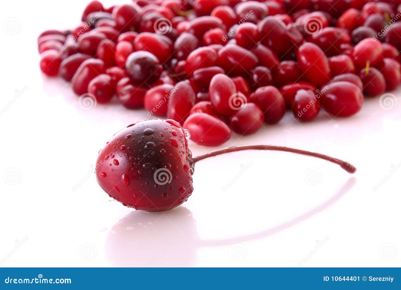 Cherry and cranberries stock image. Image of fresh, small - 10644401