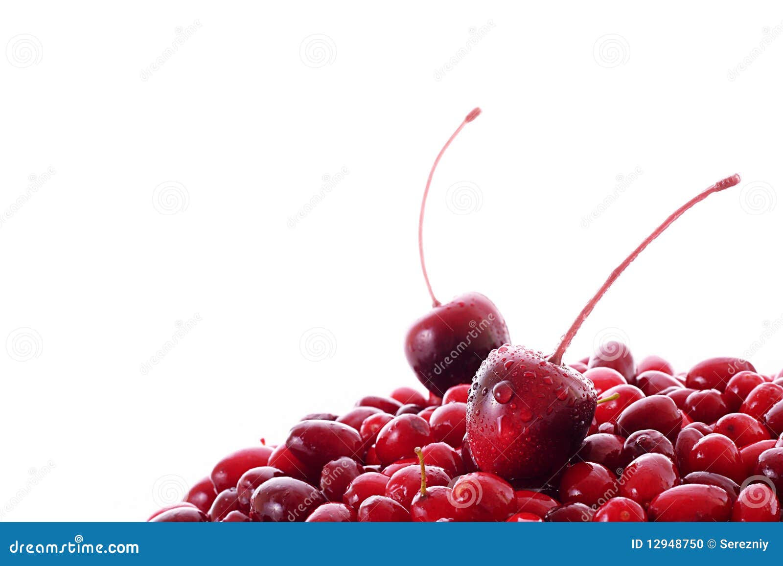 Cherry and Cranberries on White Stock Photo - Image of cranberry, food ...