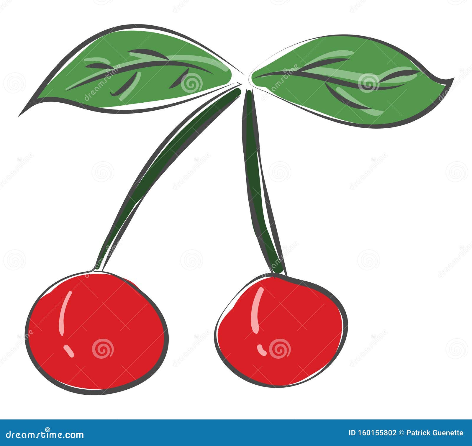 Cherry Drawing Vector or Color Illustration Stock Vector - Illustration ...