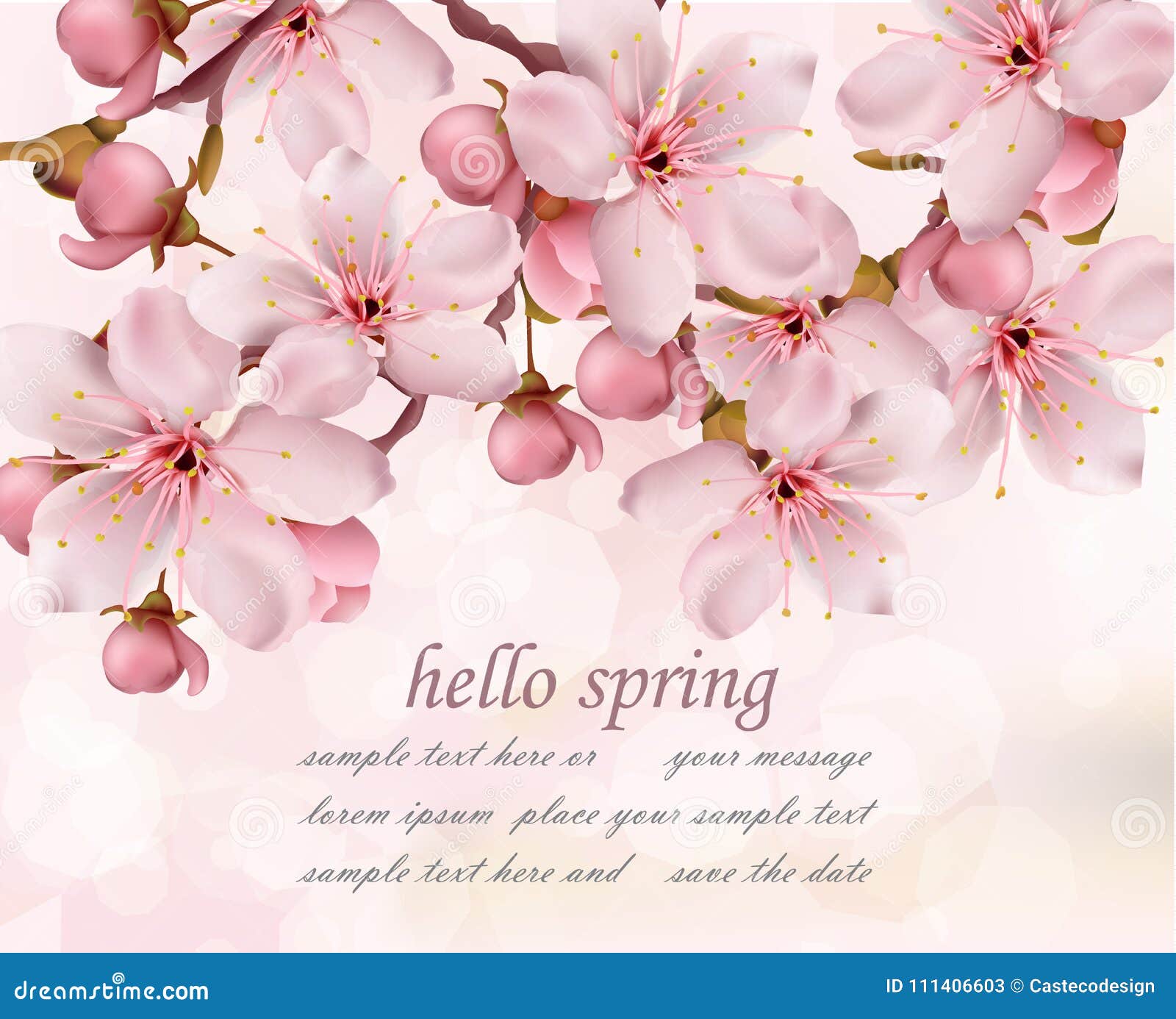 Cherry Flowers Branch Spring Card Background Vector Stock Vector ...
