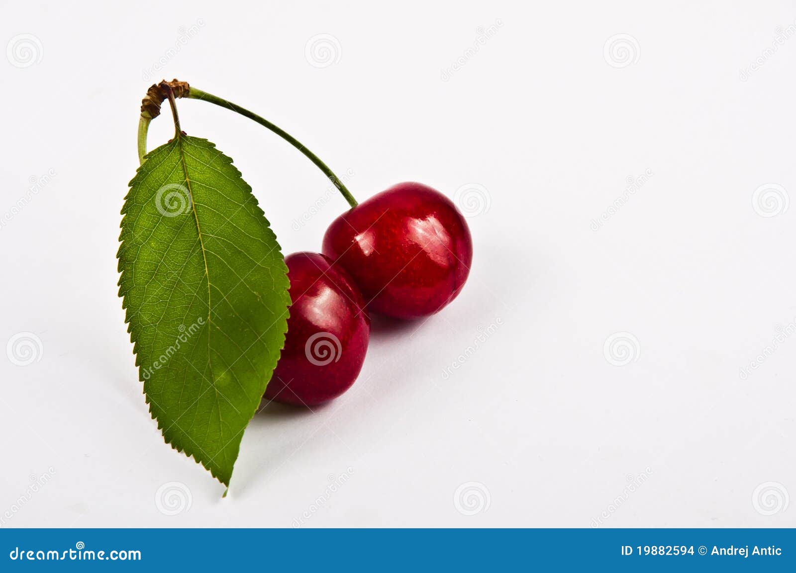 Cherry fruit stock photo. Image of vegetarian, sweet - 19882594