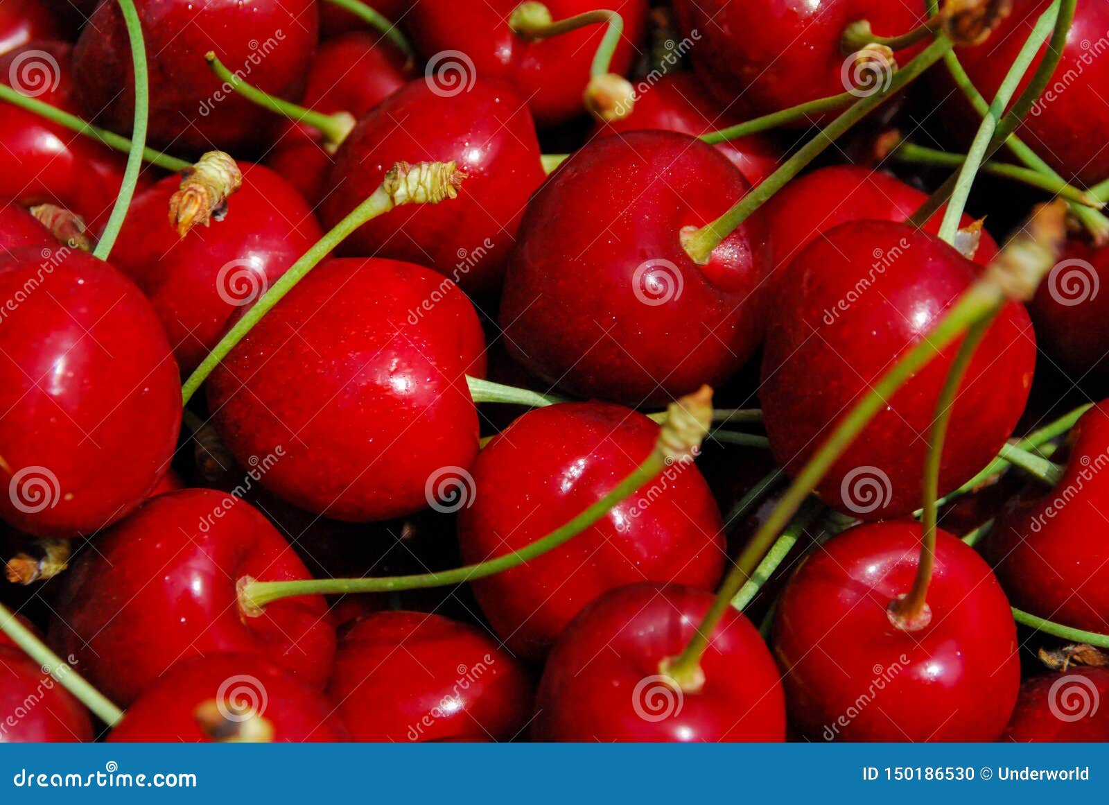 Cherry Fruit Background Texture Pattern Stock Illustration ...