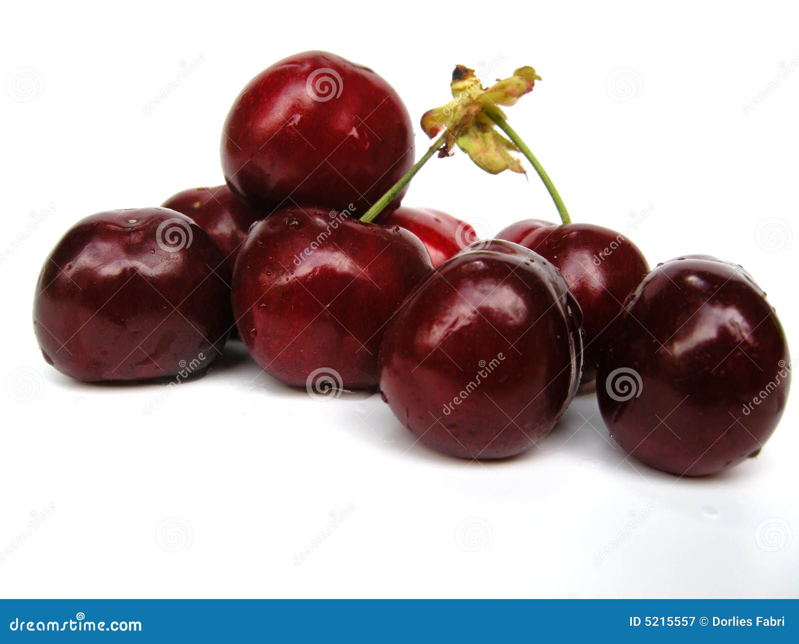 Cherry Fruits Tree Royalty-Free Stock Photo | CartoonDealer.com #20070429
