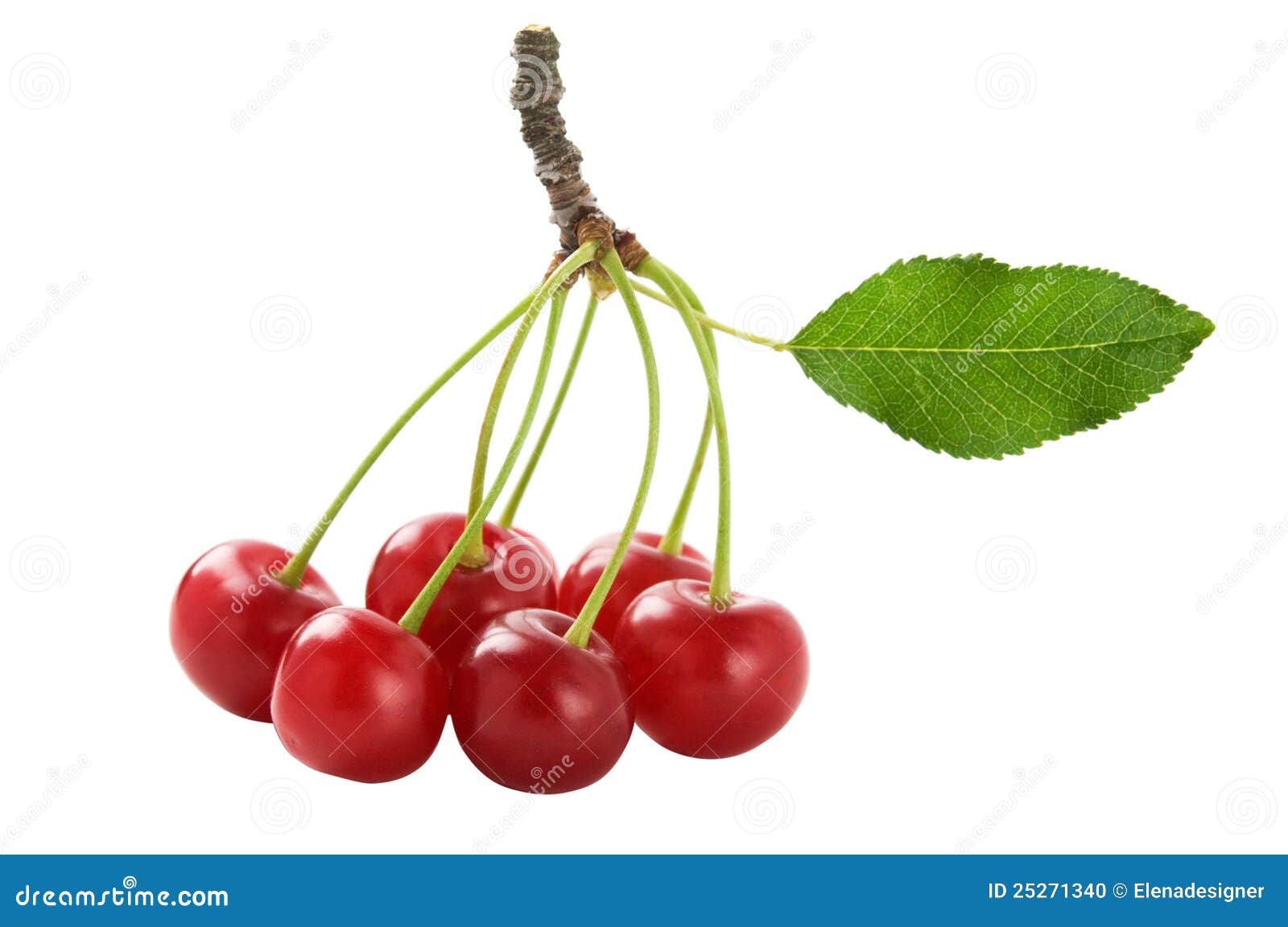 Cherry fully isolated stock photo. Image of color, macro - 25271340