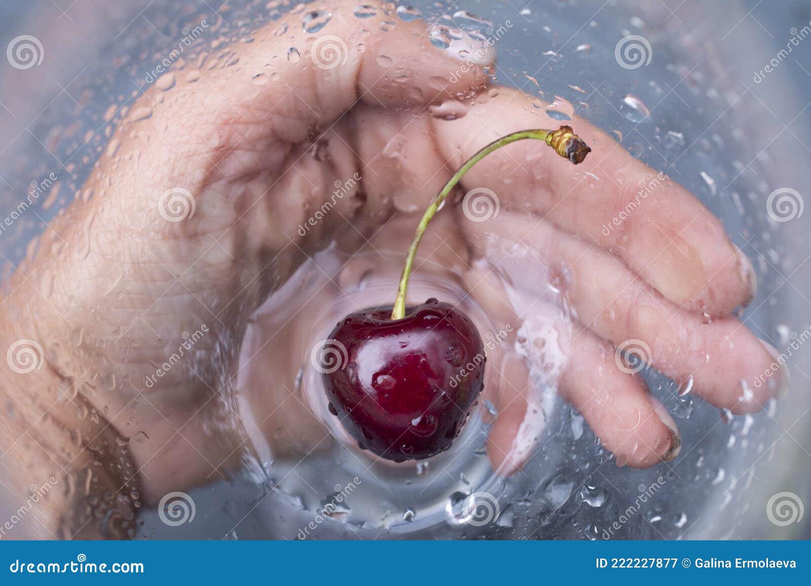 A Cherry with the Hand Behind Stock Image - Image of limb, organic ...