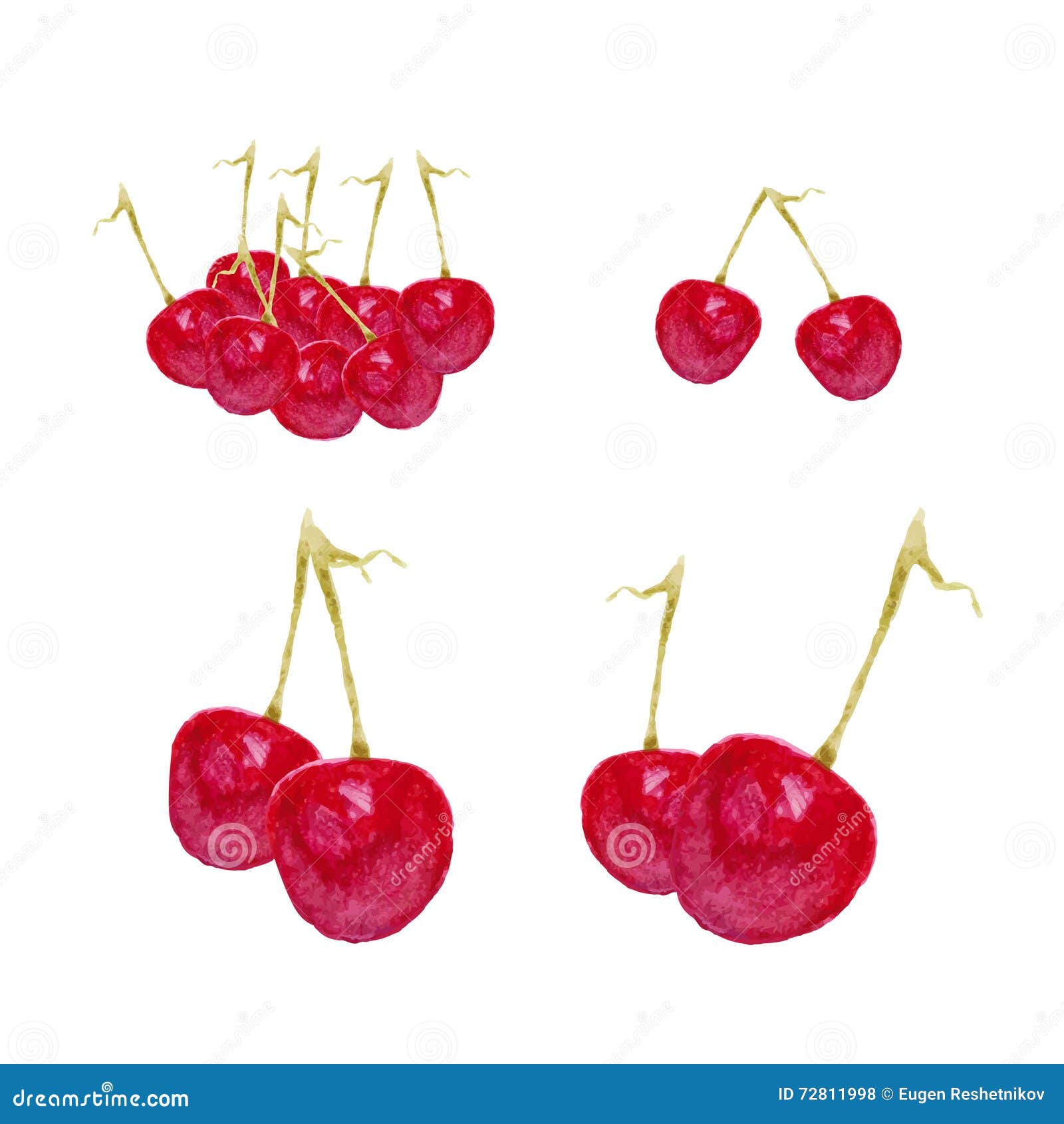 Cherry hand drawn stock vector. Illustration of color - 72811998