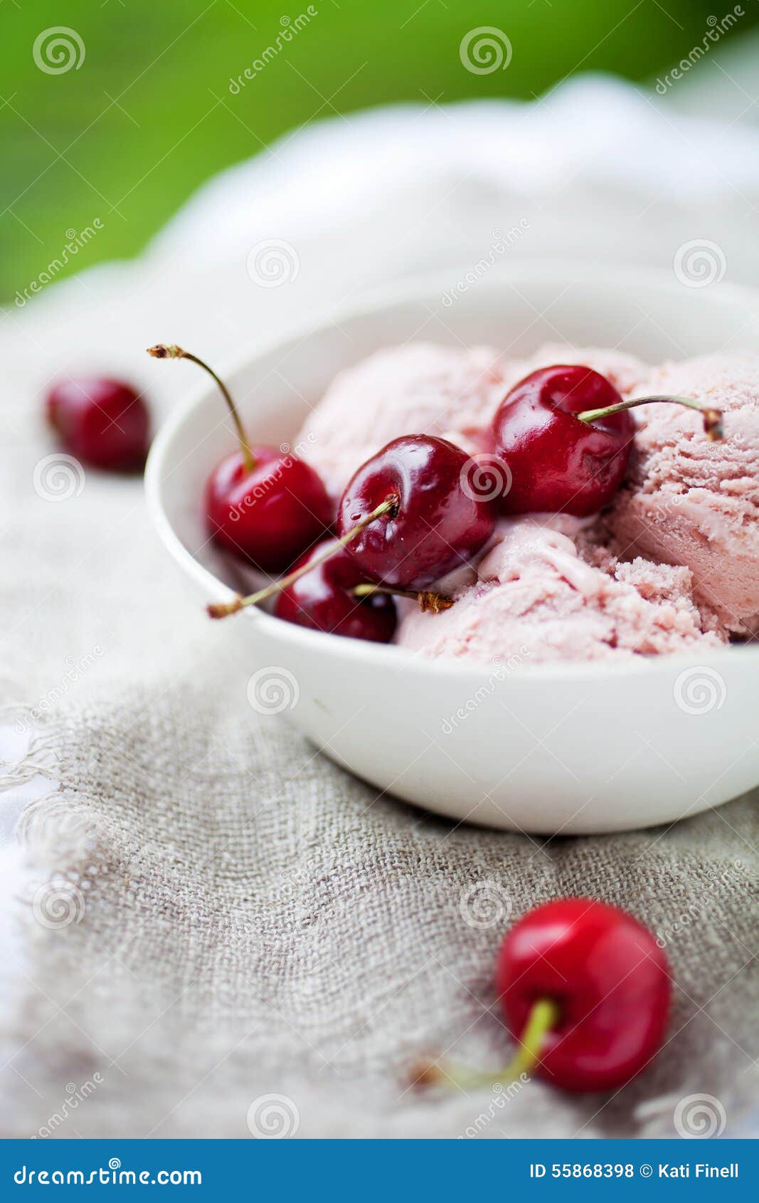 Cherry ice cream stock photo. Image of macro, portion - 55868398
