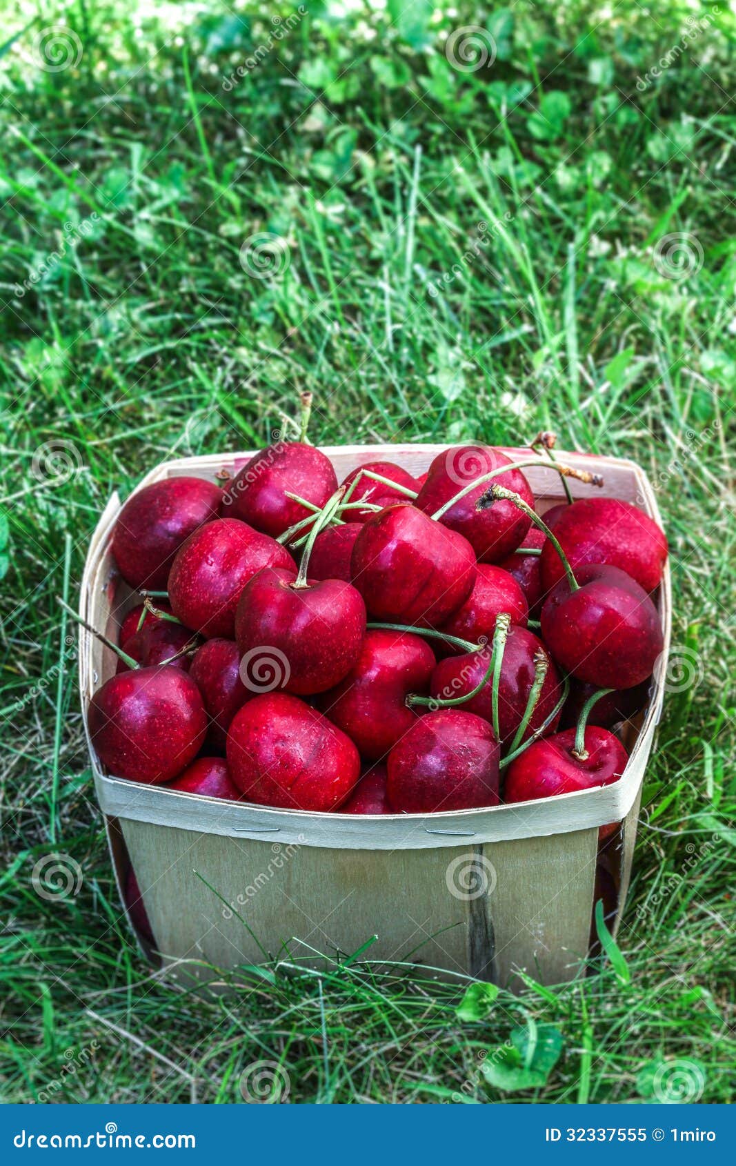 Cherry Inside Wooden Basket Stock Image - Image of cherry, green: 32337555