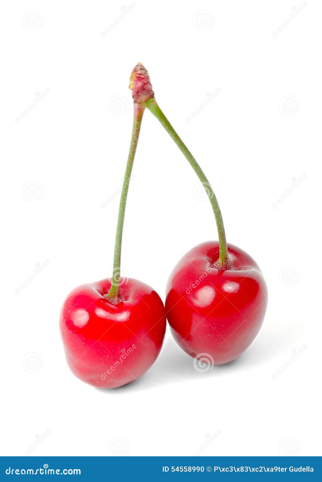 Cherry isolated stock photo. Image of berry, bright, product - 54558990