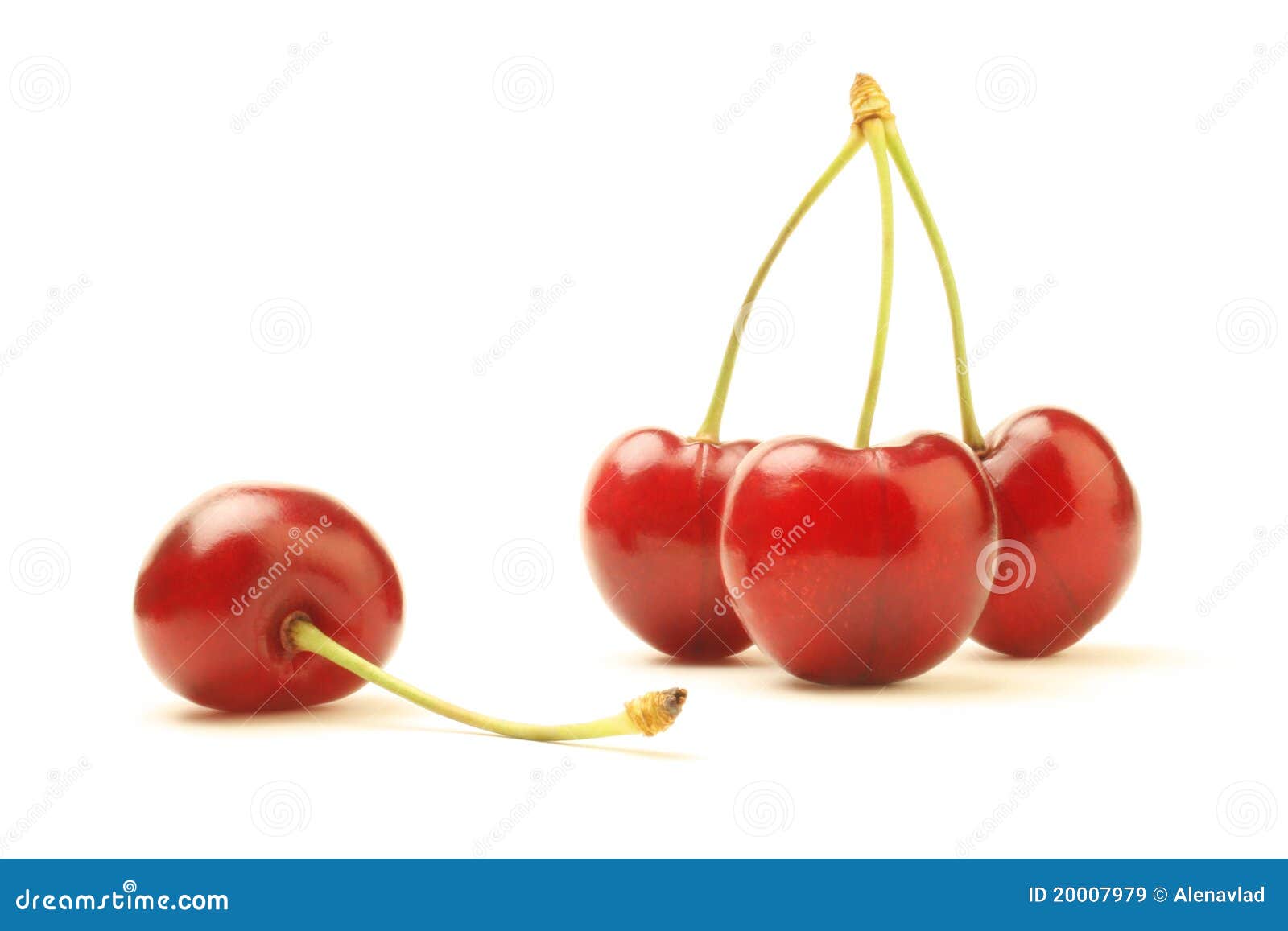 Cherry Isolated White Background Stock Image - Image of fruit, produce ...