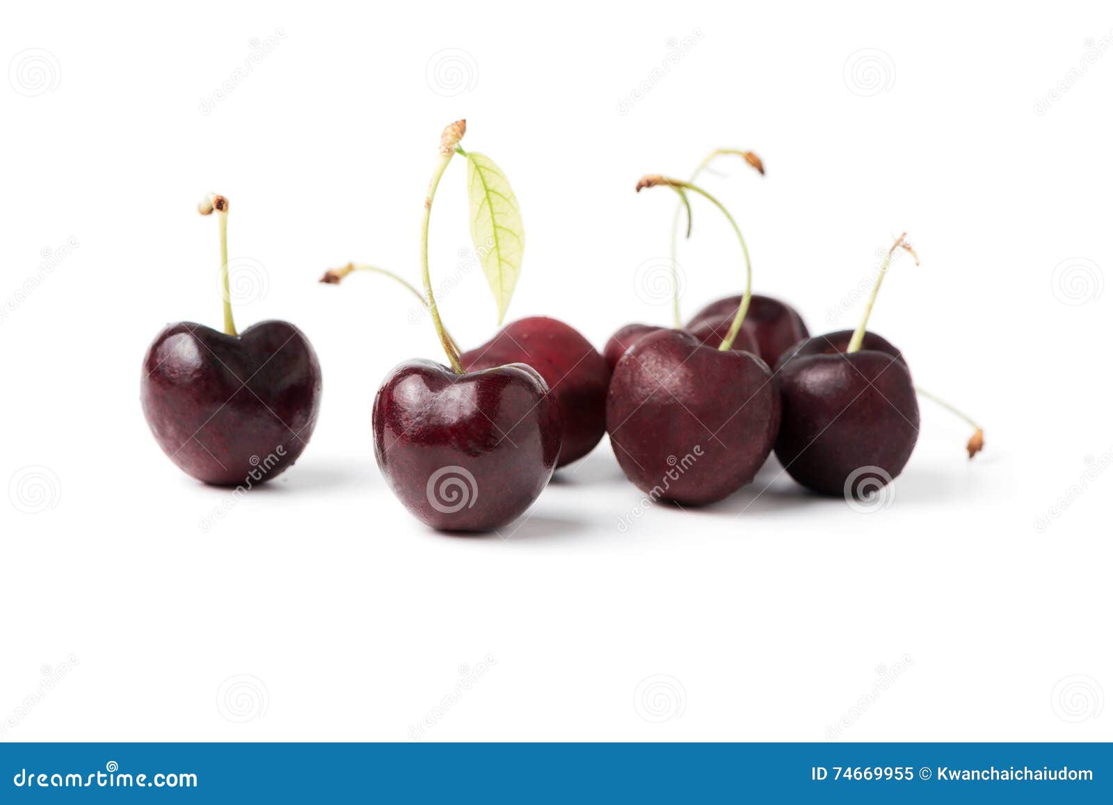 Cherry isolated on white stock image. Image of closeup - 74669955