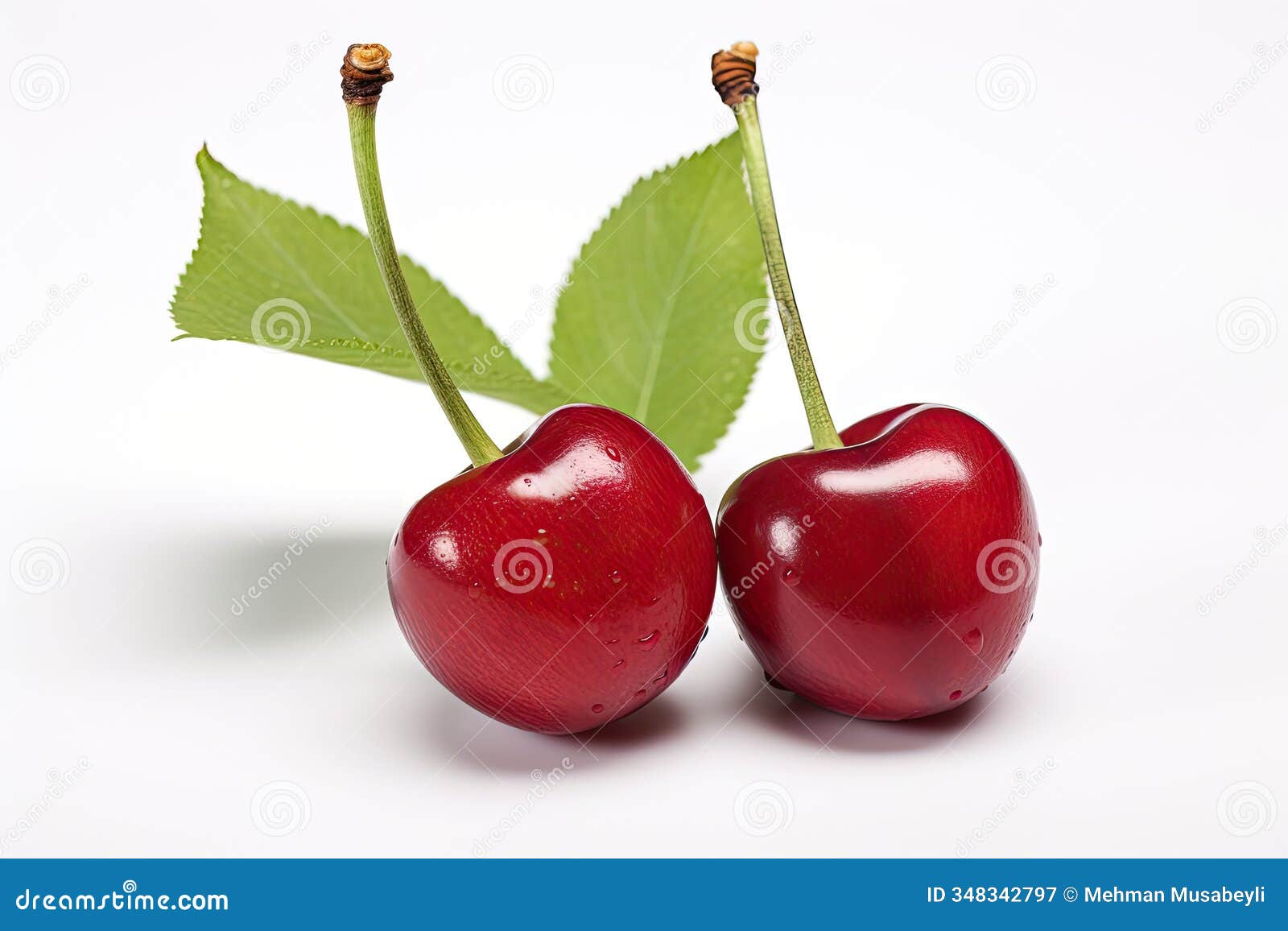 Two Cherries with Leaves and Shadow Isolated on White Background. Stock ...