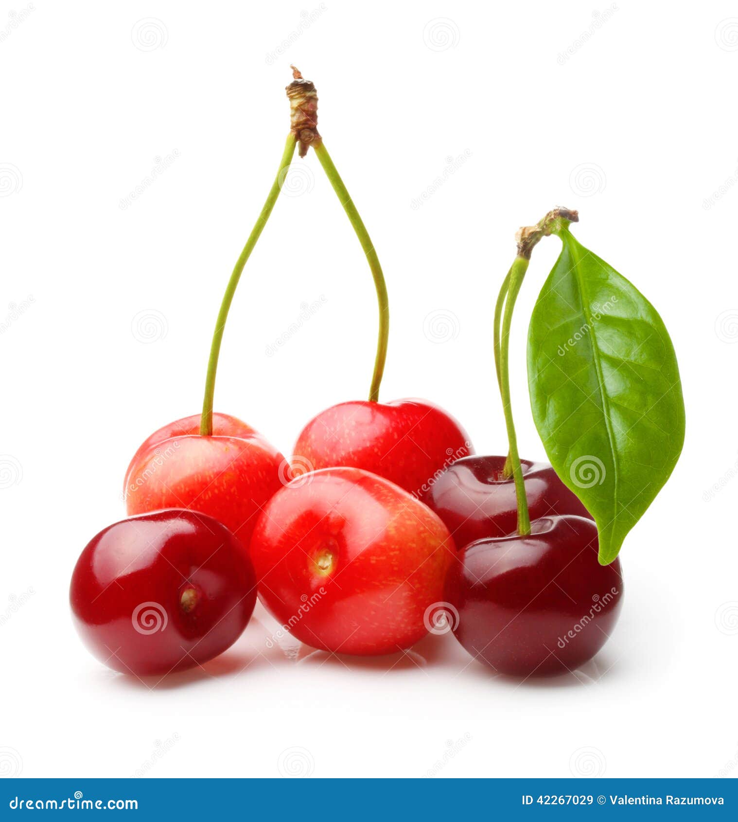 Cherry isolated stock image. Image of cherry, passion - 42267029