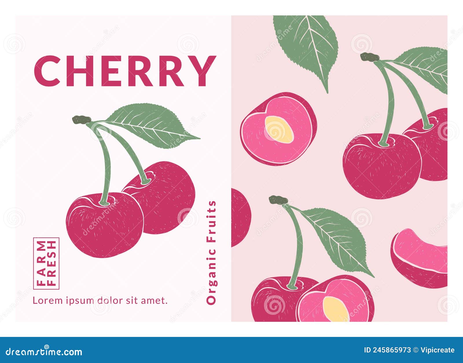 Cherry Label Packaging Design Templates, Hand Drawn Style Vector ...