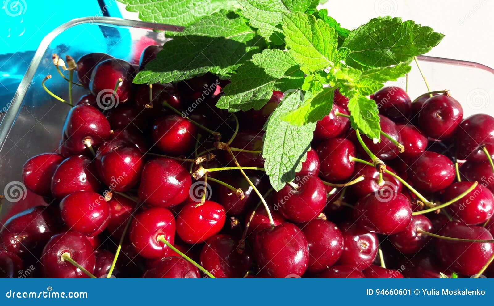 Cherry and mint stock image. Image of mint, cherry, green - 94660601