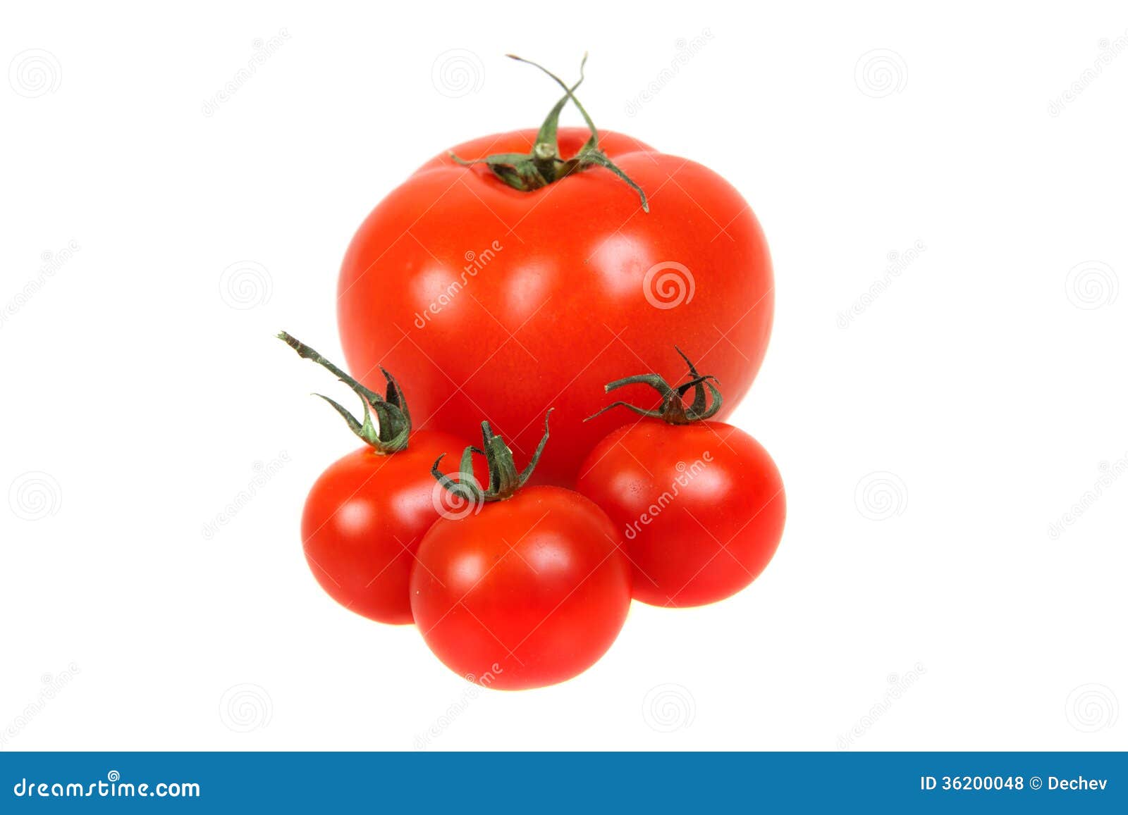 Cherry and normal tomatoes stock photo. Image of healthy - 36200048