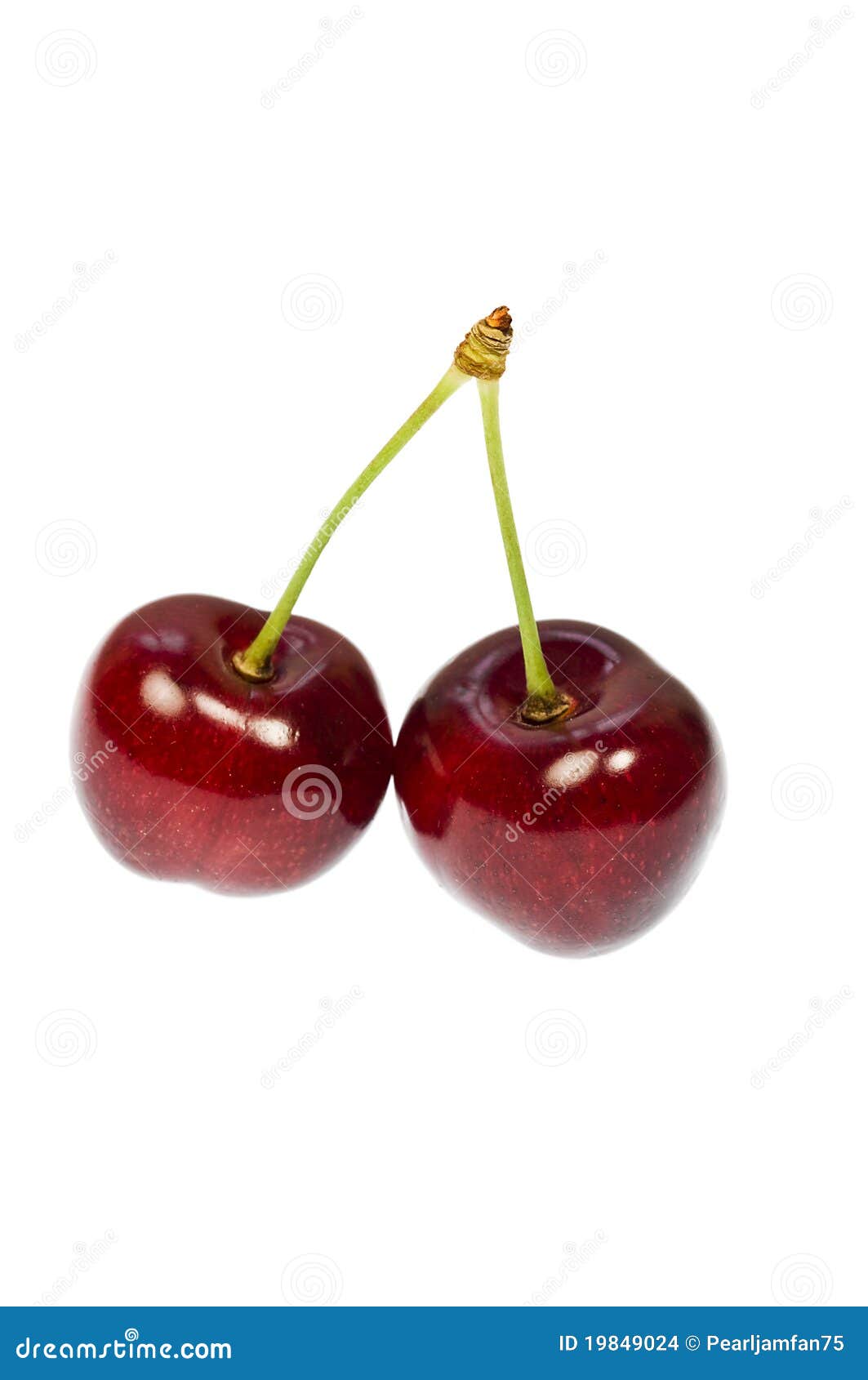 Cherry pair stock photo. Image of berry, love, taste - 19849024