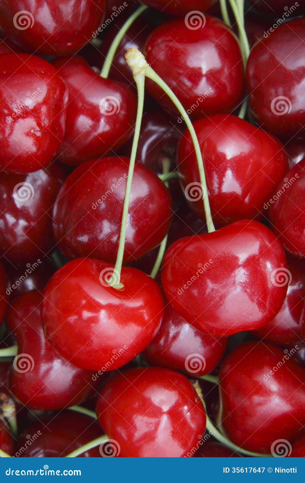 Cherry stock image. Image of couple, macro, cherries - 35617647